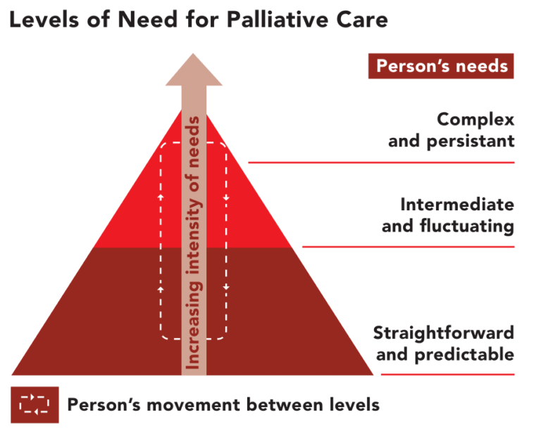 Activity 9: Personalising palliative care - PCC4U
