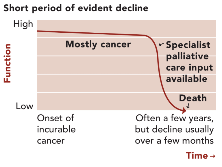 Activity 7: Who needs palliative care? - PCC4U
